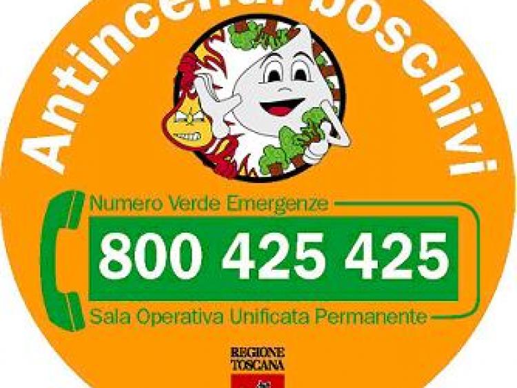 Protezione Civile Rischio incendi boschivi, dal 1 luglio divieto di ... Protezione Civile Rischio incendi boschivi, dal 1 luglio divieto di ...